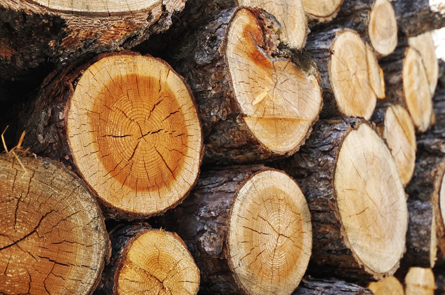 I vantaggi del legno: addio psicologo, vivi al meglio la casa
